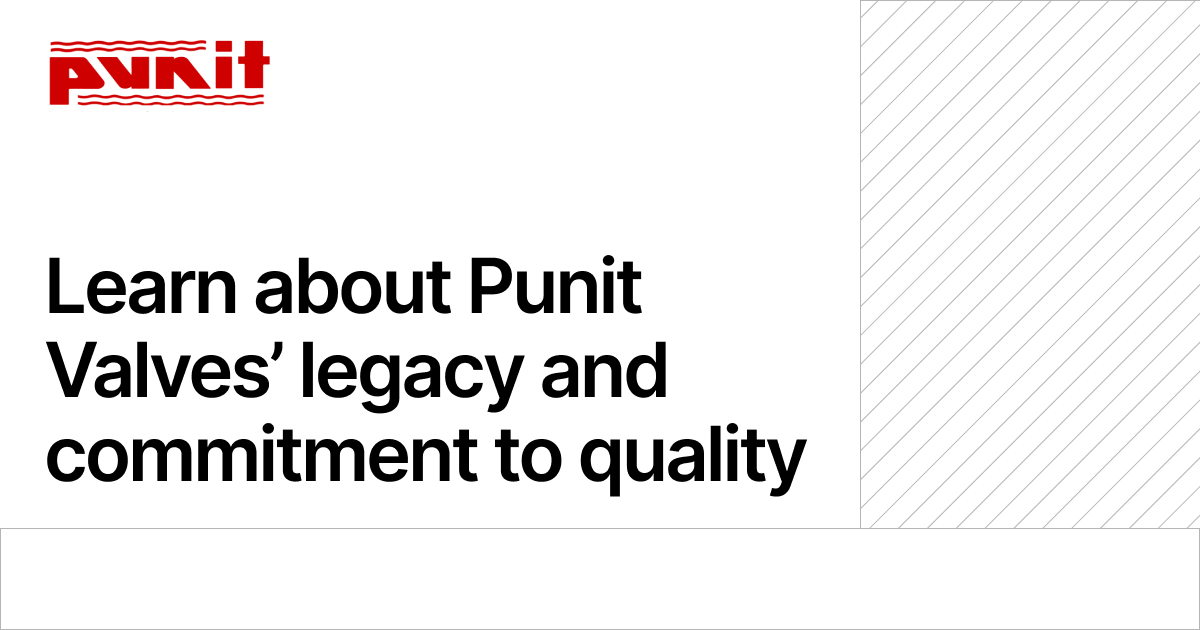 About Punit Valves | 40+ Years of Excellence